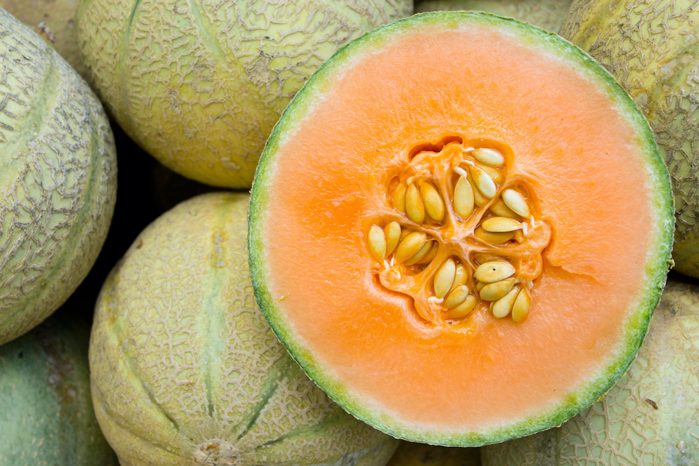 Il re dell'estate: il Melone | Articoli